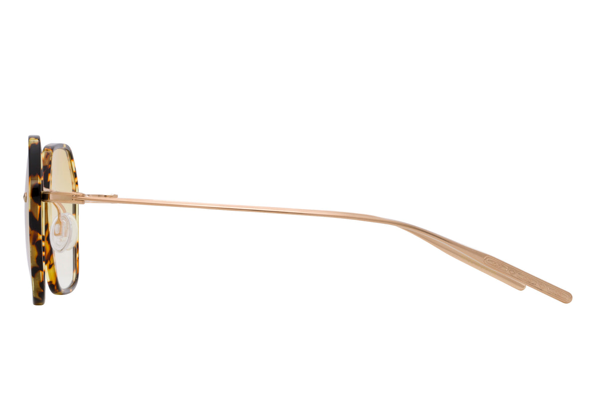 Luxury Rhonda Frames - Hexagonal Sunglasses